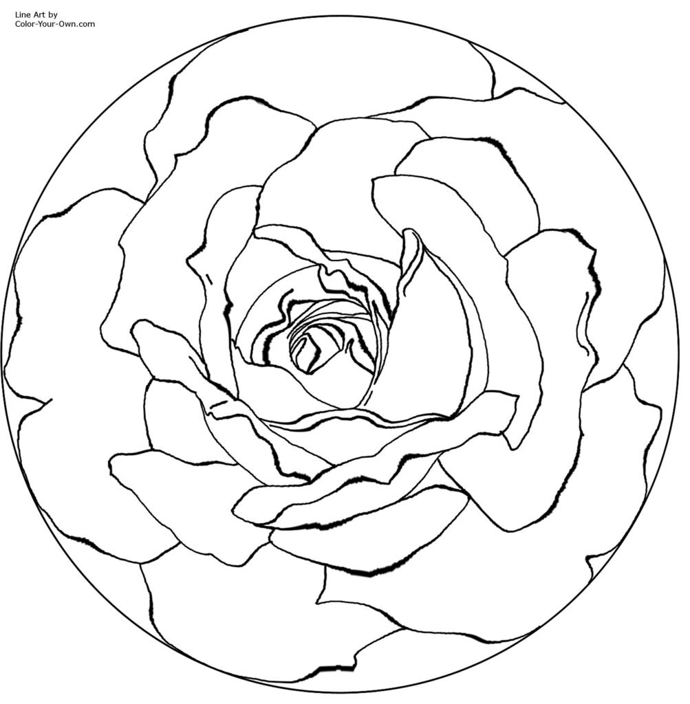 Free Color Color Page - Coloring Feel